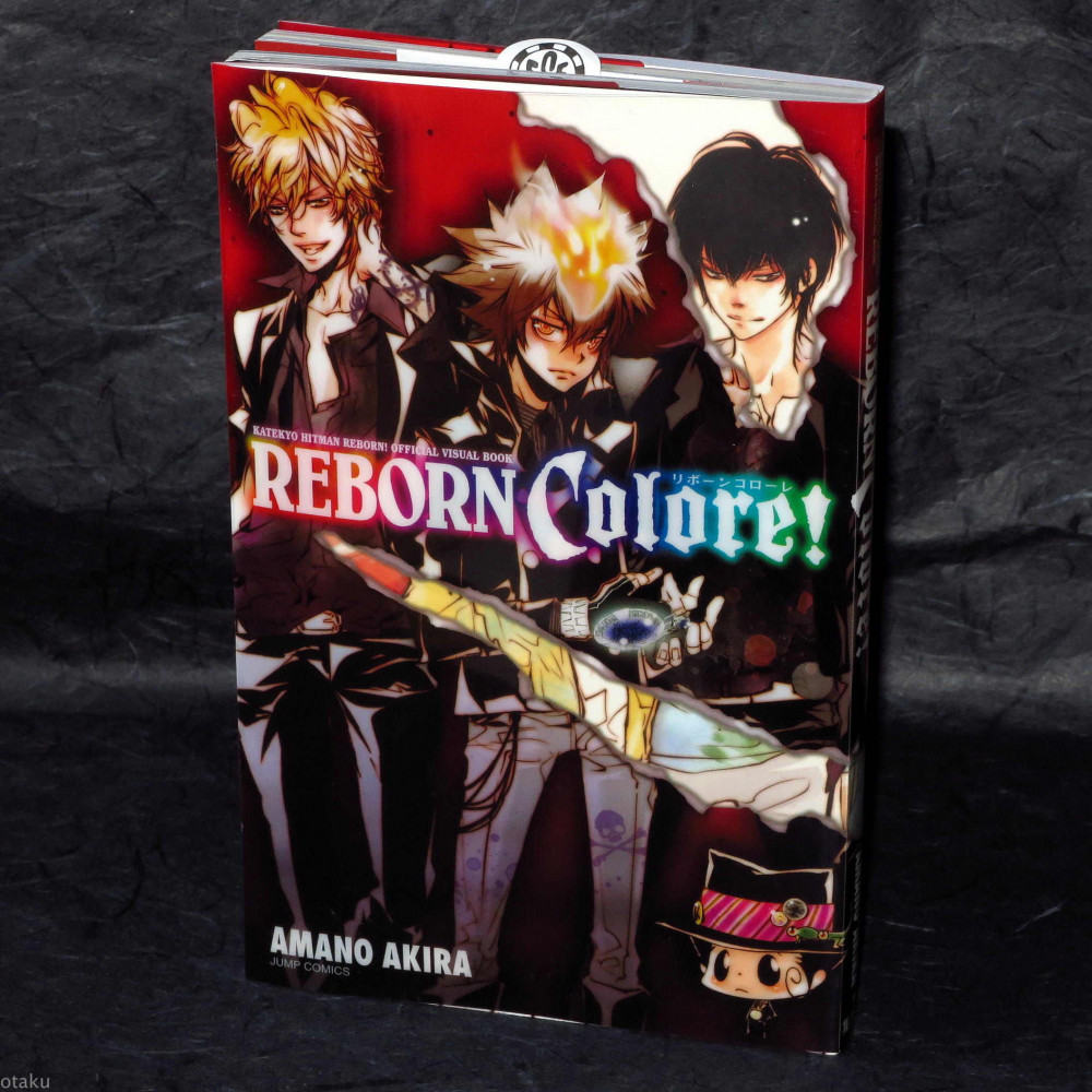 Katekyo Hitman Reborn - visual book REBORN Colore